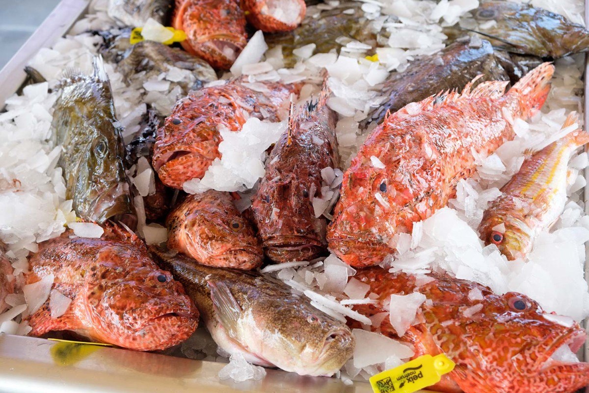 Local fish and seafood – Culinary marine treasures - Ibiza Style