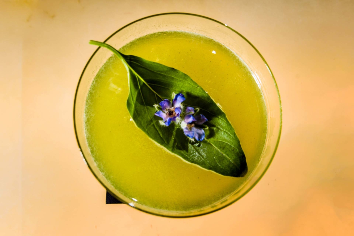 Zela Ibiza – The originality of exquisite “Meppon” cuisine - Ibiza Style