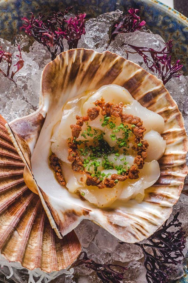 Zela Ibiza – The originality of exquisite “Meppon” cuisine - Ibiza Style